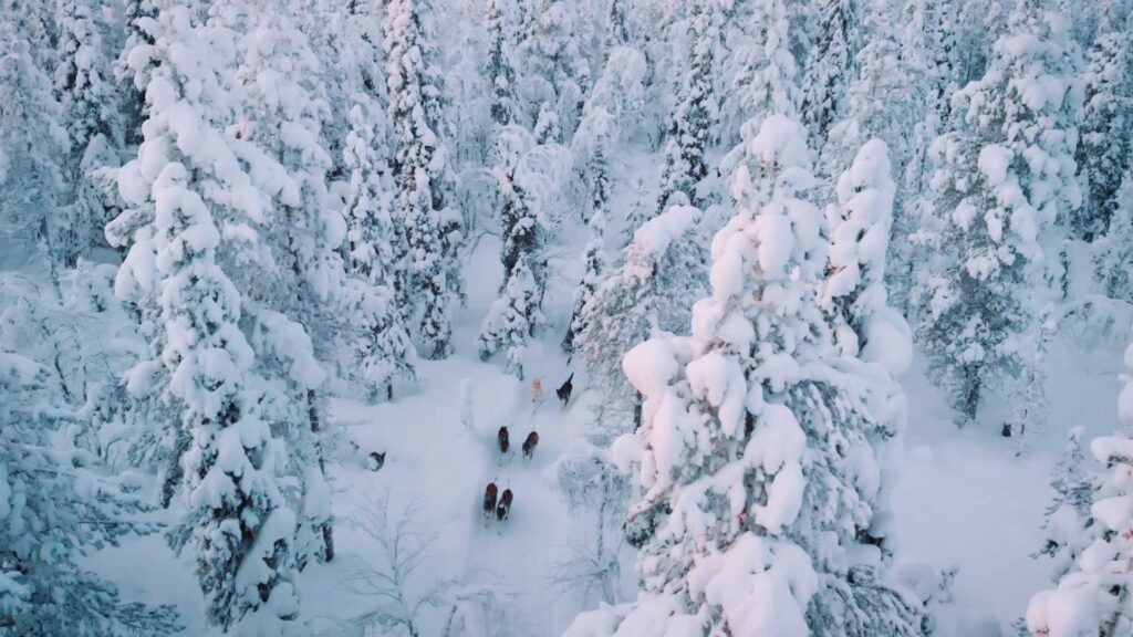 Active trail in Lapland | Lapland Travel